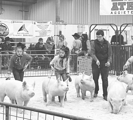 71st annual Midland County Livestock Show Results | Greenwood Ranger